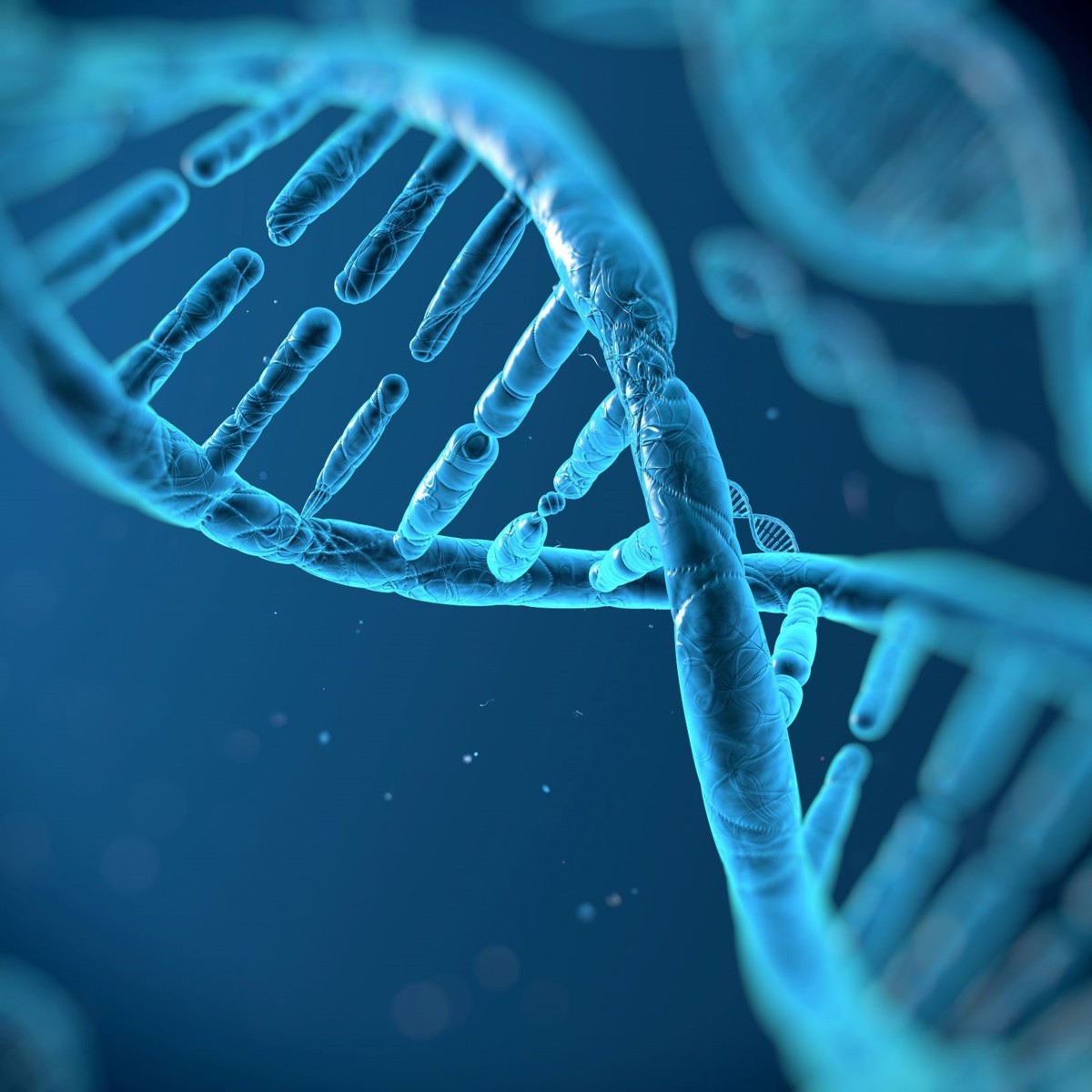 Introducing Finwerd Flavours & Fragrances: Redefining the Power of ...