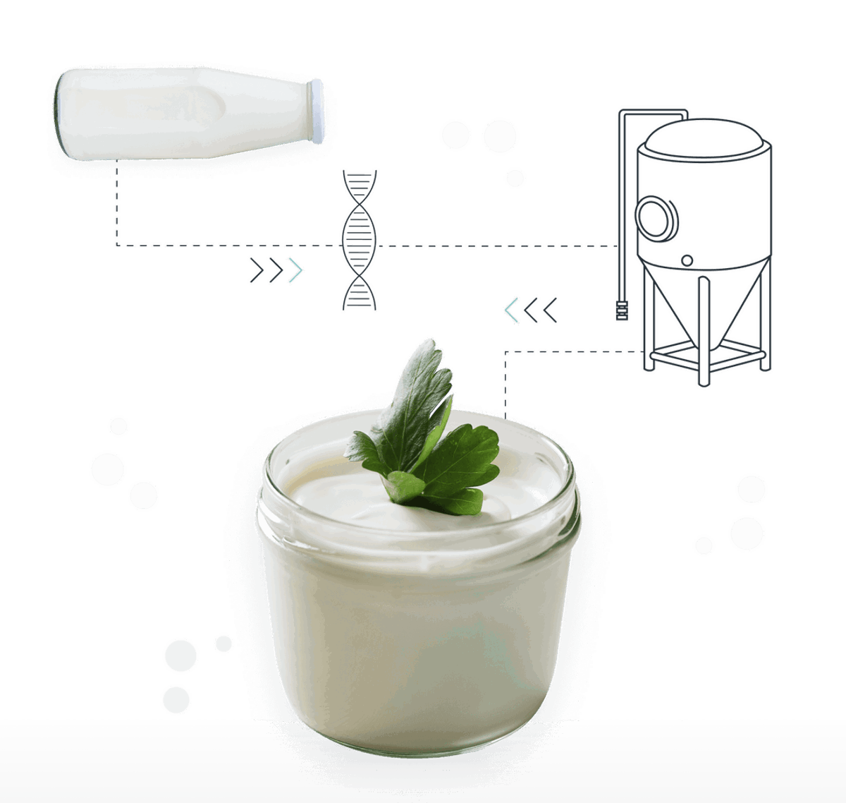 Vivici: Revolutionizing Dairy Protein Production for a Sustainable ...